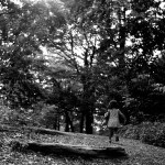 The Best Camera I Never Knew: The Super Ricohflex – Camera Legend